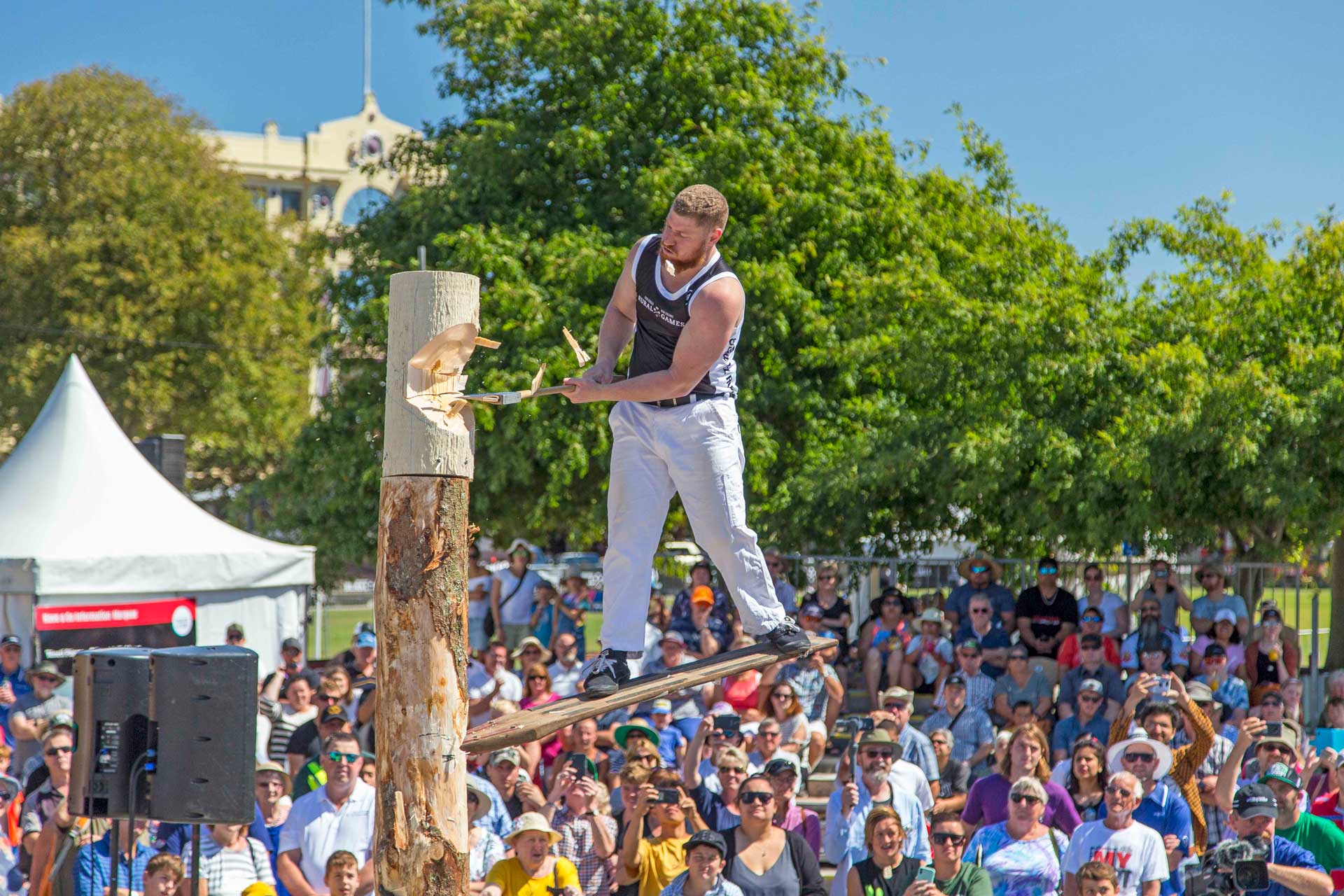 Leading Wood Chopping Championship Coming To Palmerston North New leading-wood-chopping-championship-coming-to-palmerston-north-new